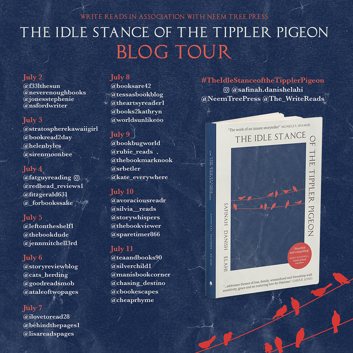 Book Spotlight | The Idle Stance of the Tippler Pigeon